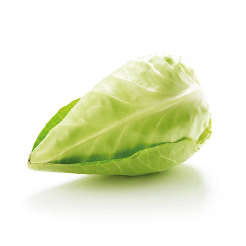 Spring Cabbage | ALDI IE